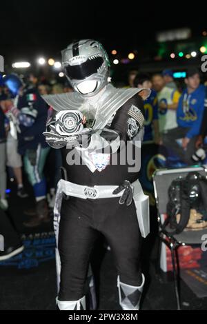 A Las Vegas Raiders fan during an NFL football game against the Kansas ...