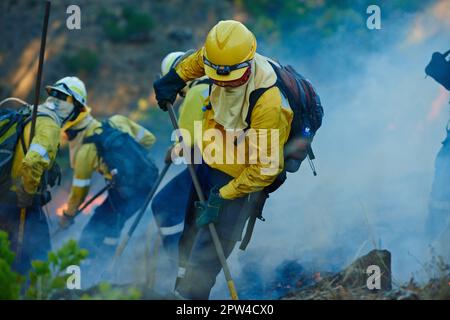 Lets get this fire under control. fire fighters combating a wild fire ...
