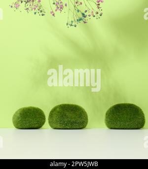 Green pieces of moss and a stage for the demonstration of products ...