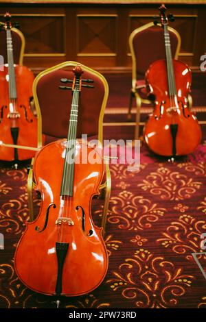 Color image of a row of cellos in a room Stock Photo - Alamy