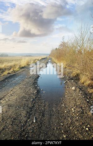 Dry or arid land an empty Denmark swamp in early spring. Uncultivated ...