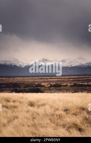 Cold, dry grasslands by the snowy Andes mountains, in Tupungato ...