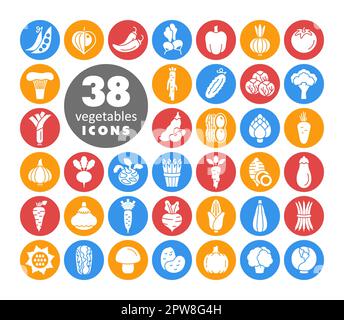 Parsley Root isolated vector glyph icon. Vegetable sign. Graph symbol ...