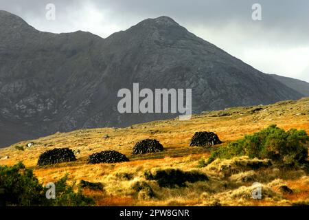 Turf Stacks, Inagh Valley, Connemara, County Galway, Ireland Stock ...