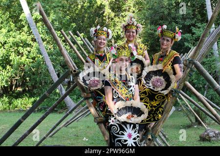 Beautiful Orang Ulu ladies of Sarawak resplendent in their traditional ...