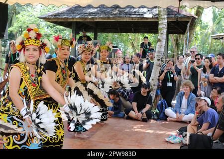 Malaysian dancers in traditional tribal costumes perform during the ...