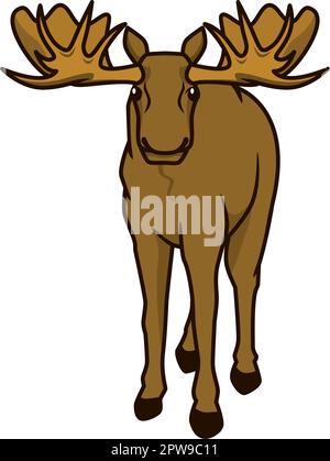 Detailed Moose with Standing Gesture Illustration Vector Stock Vector ...
