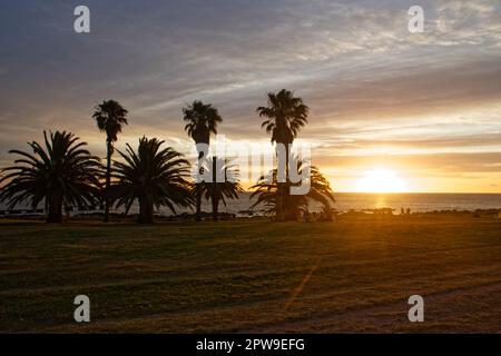 Beautiful sunset colors in Rambla Park, Montevideo, Uruguay Stock Photo ...
