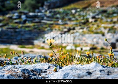 Ancient Greek theater of Thorikos in Lavrio, Attica, Greece Stock Photo ...