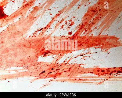 Bloody paper with traces of realistic blood, Crumpled paper texture ...