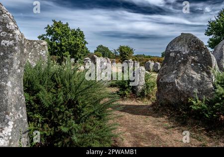 Ancient Stone Field Kerzerho Cruzuno With Neolithic Megaliths And ...