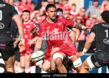 Vaea Fifita of Scarlets during the European Rugby Challenge Cup match ...