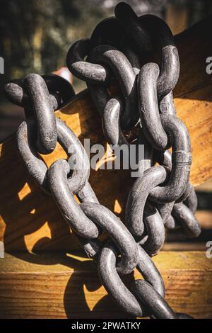 Locked iron chain wrapped around an old pine tree trunk , Finland Stock ...