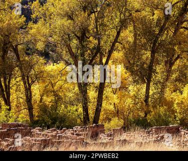 autumn trees and brick building near traffic intersection with ...