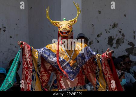 A Masked Monk at the Phyang Monastery Festival in Ladakh, India Stock ...