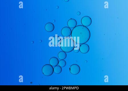 Abstract photography of water droplets on pink background Stock Photo ...