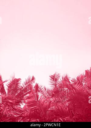 USA Holidays. Against the background of the US flag lies cardboard with ...