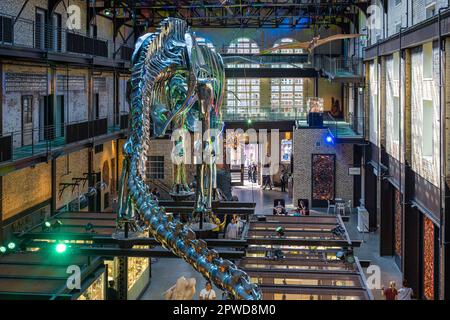 Life-size chrome dinosaur skeleton and giant geode in the lobby of the ...