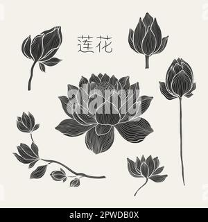 Freehand of a lotus with thin graceful lines . Lotus flower luxury ...