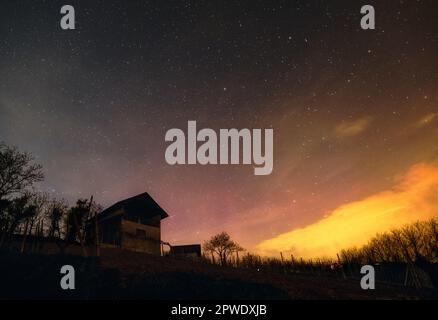 Night scene with stary sky above vineyards and vine house at Klenice ...