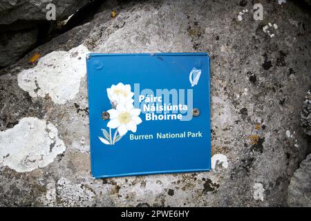 the burren national park in county clare, ireland. beautiful scenic ...