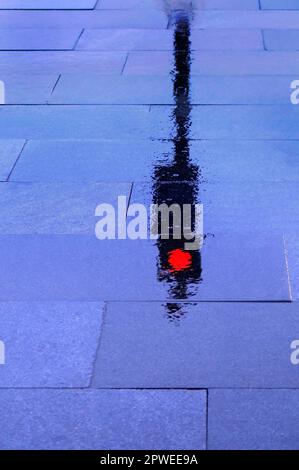 reflection of red and green traffic light on wet pavement in the city ...