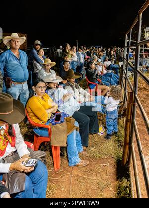 Itaja, Goias, Brazil - 04 22 2023: rodeo life saver with bull in rodeo ...