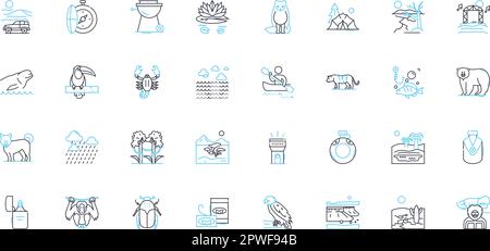 Forest linear icons set. Sylva, Arboretum, Canopy, Flora, Fauna ...