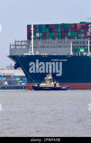 Container ship Ever Given assisted by tugboat Svitzer Shotley entering ...