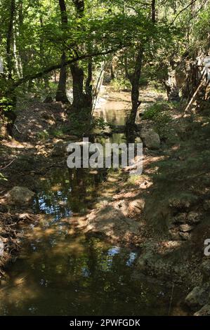 small stream in a valley with trees and large stones on the Rhodes ...