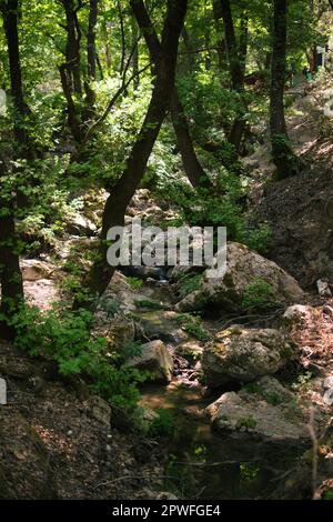 Natural landscape with small stream inside of a valley full of rocks ...
