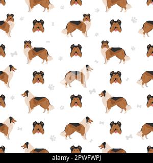 Rough collie seamless pattern. Different poses, coat colors set. Vector ...
