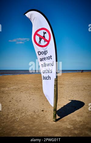 Dog ban on St Annes beach during the summer months Stock Photo - Alamy