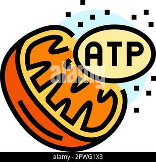 cellular respiration biochemistry color icon vector illustration Stock ...