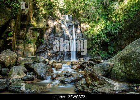 Shower Waterfall in Horto of Rio de Janeiro, Brazil Stock Photo - Alamy