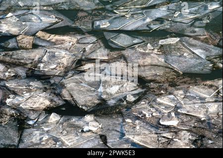 Bridge pieces of refreezing ice floes floating on the water Stock Photo ...
