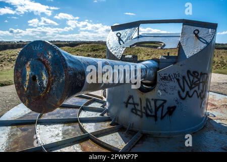 Trow disappearing Naval gun South Shields, gun, naval warfare, beach ...