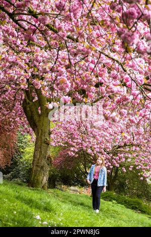Halesowen, West Midlands, UK. 1st May, 2023. 11-year-old Philippa Hall ...