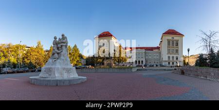 A picture of the Unity Monument and the Grigore T. Popa University of ...