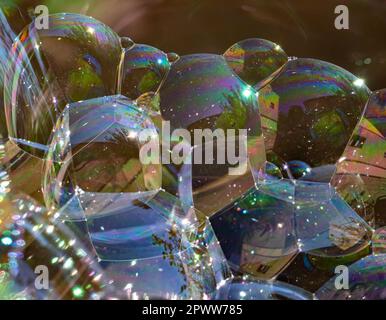 Colorful soap bubbles connected to each other Stock Photo - Alamy