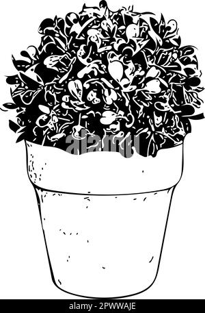 Boxwood decoration icon outline vector. Garden hedge. Bush plant color ...