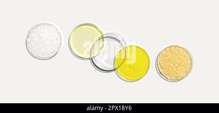 sodium chloride in petri dish, known as salt or table salt, important ...