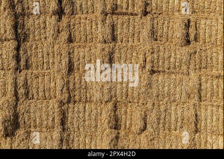 Detail view of a stack of pressed hay bale Stock Photo - Alamy