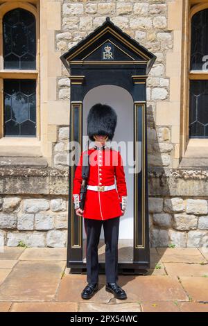 King's Life Guard in infantry uniform in front of Waterloo Block in ...