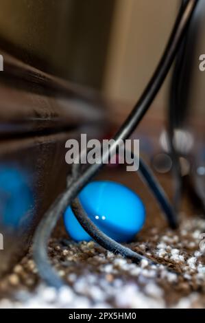 small object dropped behind furniture and trapped between a wall Stock ...