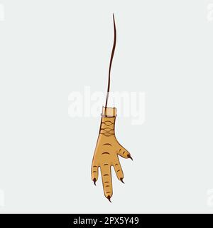 Hand Drawn Chicken Leg. Doodle Vector Sketch Illustration Stock Vector ...