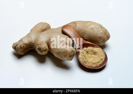 Ginger (Zingiber officinale), ginger bulb and ginger powder in ...