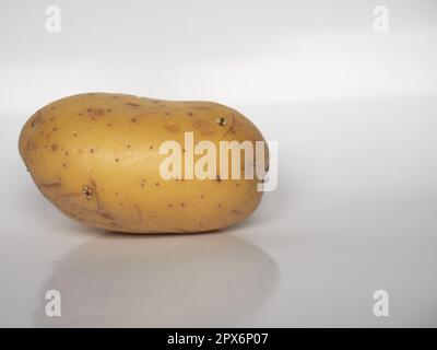 potato scientific name Solanum tuberosum vegetables vegetarian food in ...