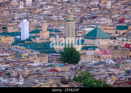 Al Karaouine Mosque, Built in the year 859, oldest university in the ...