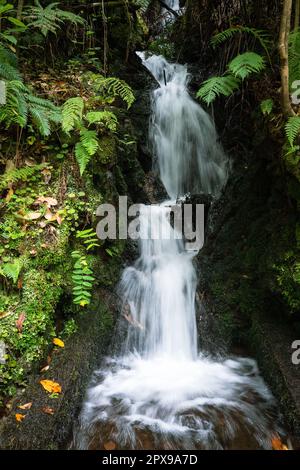 Mini waterfall in Madeira Island Stock Photo - Alamy